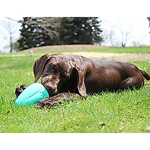 Chew King Premium Treat Dog Toy, XL, Extremely Durable Natural Rubber Toy, Pack of 2, All Breed Sizes