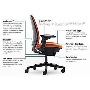 Steelcase Amia Ergonomic Office Chair with Adjustable Back Tension and Arms | Flexible Lumbar with Sliding Seat | Black Frame and Buzz2 Blue Fabric
