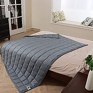 George's Dinosaur Weighted Blanket Breathable Heavy Blanket with Glass Beads Big Blanket for Adult All-Season Fall Winter Soft Thick Comfort Blanket No Leaking Glass Beads(48"x72"-10lbs Dark Gray)