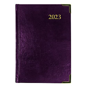 Brownline 2023 Executive Daily Planner, Appointment Book, 12 Months, January to December, Sewn Binding, 7.125" x 4.875", Assorted Colors, Trilingual (CBE504.ASX-23)
