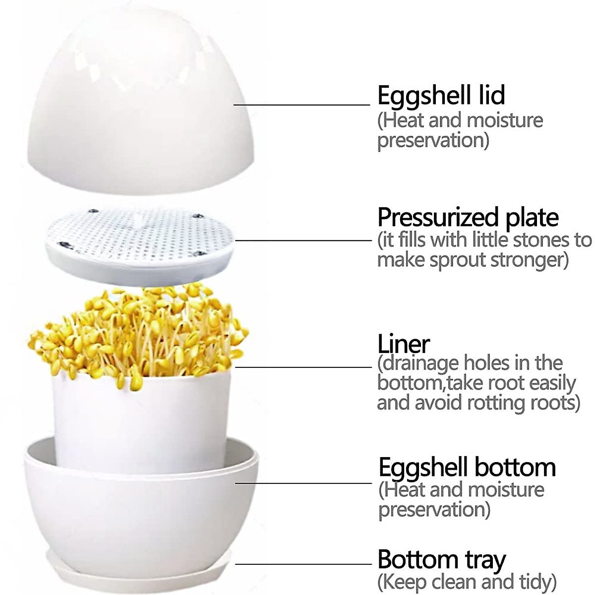 LeJoy Garden Seed Sprouter,Egg Shaped Germination Pot,BPA Free Soil-Free Healthy Wheatgrass Grower with Lid,Cretive Design Sprouting Kit