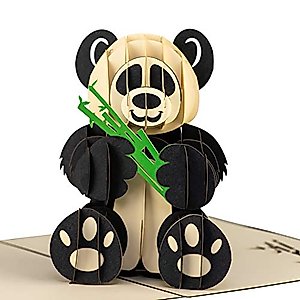 Panda Pop Up Card by DEVINE Popup Cards | Pop Up Birthday Cards for Women Mom Wife | Funny 3D Pop Up Greeting Cards | Love Mother Kids Son Daughter