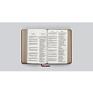 ESV Spanish/English Parallel Bible (La Santa Biblia RVR / The Holy Bible ESV, TruTone, Brown) (English and Spanish Edition)