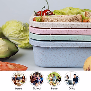 shopwithgreen 3 Pack Salad Food Storage Container + 8 Pack Bento Lunch Box, Food Prep Storage Containers with Lids, Reusable Microwave and Dishwasher Safe for School Work Travel Camp, BPA Free…