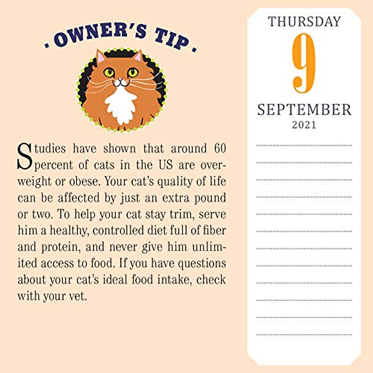 A Year of Cat Trivia Page-A-Day Calendar 2021