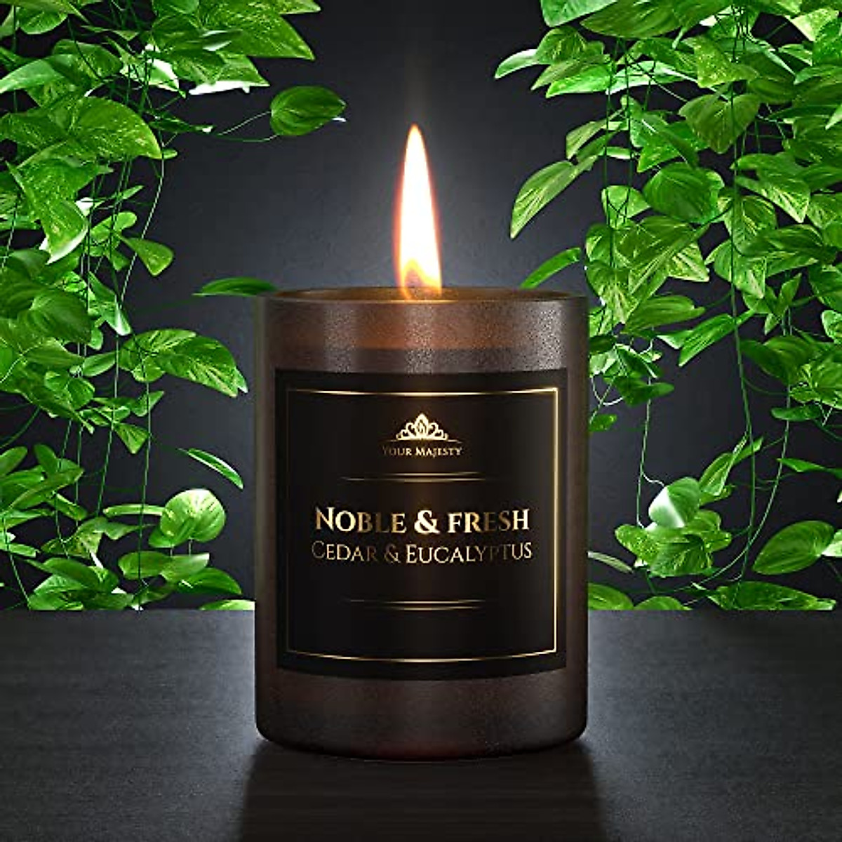 Your Majesty Cedarwood and Eucalyptus Scented Candle for Home [35 Hours Burning Time] Natural Soy Wax Candle with Essential Oils, Clean Burn Aromatherapy Candle, 5.3 Oz
