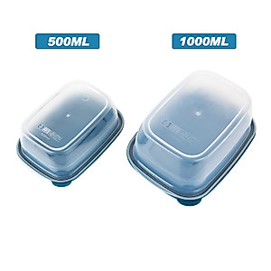PEDECO Rectangle Plastic Portion box Sets with Lids.Food Storage Box,Container Sets,Food Storage,Food Containers,Cereal Containers,use for School,Work and Travel,0.53 quarts(500ML) per box,Set Of 5