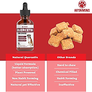 Quercetin for Dogs | Dog Allergy Relief | Quercetin for Dogs Allergies | Dog Allergy | Quercetin | Dog Allergy Support | Quercetin Dog | Dog Allergies | Quercetin Supplements | Bacon Flavor (2 Pack)