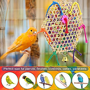 AK KYC Bird Parrot Toys，2 Pack Bird Hanging Foraging Shredder Toys for Small Medium Small Bird Conure Cockatiel Parrotlet Lovebird Budgie