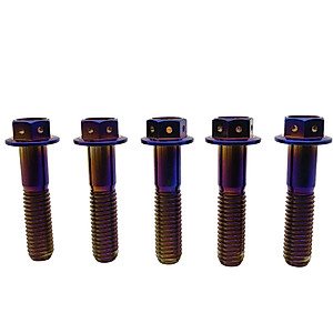 RISON Titanium Bolts Titanium Flange Hex Head Bolts Burnt Blue GR5 Titanium Screws M10x1.25x60mm Titanium Bolt Pack of 5