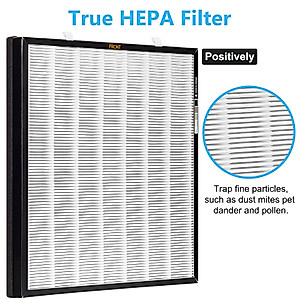 Hfunmo H13 True HEPA Replacement Filter Compatible with Life Cell 1550, FITS 1550 Model ONLY.