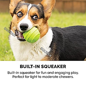 Furhaven 3-Pack Fetch 'N Fun TPR Squeaky Ball Dog Toy Set - Play Pack, Set of 3