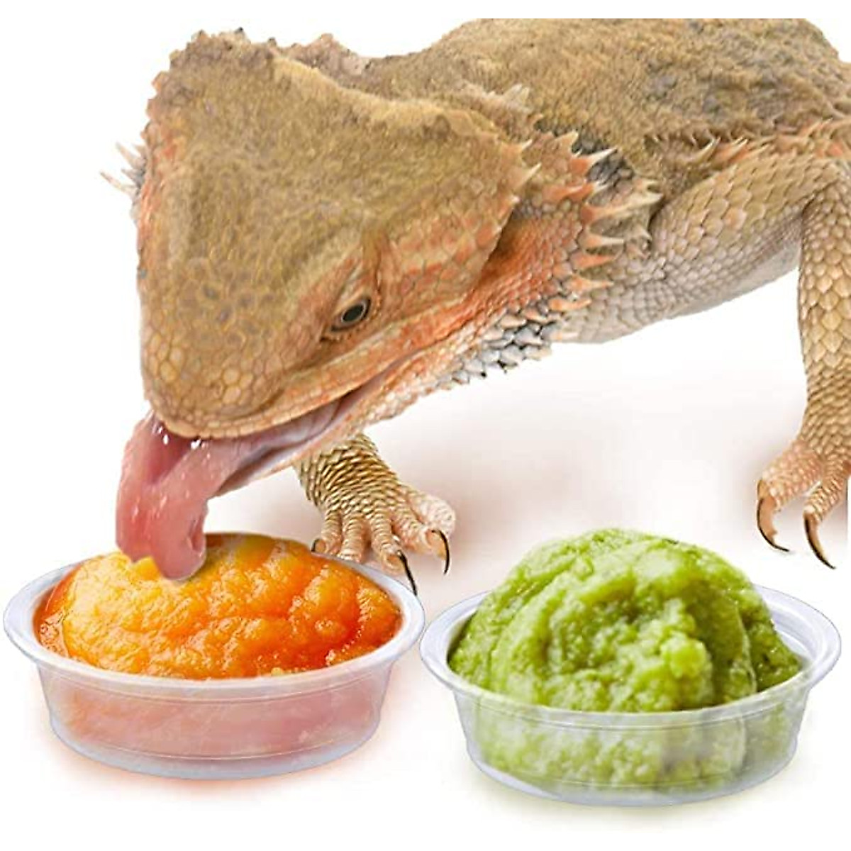 SunGrow Gecko Food and Water Containers, Reusable, Recyclable, Disposable Cups, 0.5 oz Capacity, Fits Various Reptile Feeder, 50 Pcs