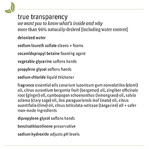 Grab Green 3-in-1 Laundry Detergent Pods, 24 Count, Fragrance Free, Plant and Mineral Based, Superior Cleaning Power, Stain Remover, Brightens Clothes