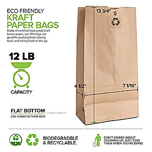 Stock Your Home 12 Lb Kraft Big Brown Paper Lunch Bags (100 Count) - Bulk Disposable Lunch Sacks, Large Size Blank Bag, Good for Snacks, Sandwiches, Grocery Food, and Arts & Crafts Projects