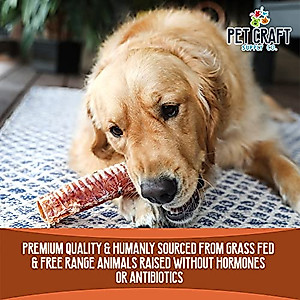 Pet Craft Supply All Natural Healthy Beef Butcher 12 Pack Bones Dog Chews Treats for Aggressive Chewers Long Lasting Rawhide Free Made in USA Premium Slow Roasted for Puppies Small Medium Large Dogs