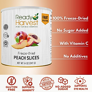 Ready Harvest Freeze Dried Peaches Freeze Dried Fruit, Freeze Dried Food Gluten Free Snacks, Fruit Snacks, Canned Food, Camping Essentials, Veggie Snacks #10 Can, 25-year shelf life 6 cans 397g