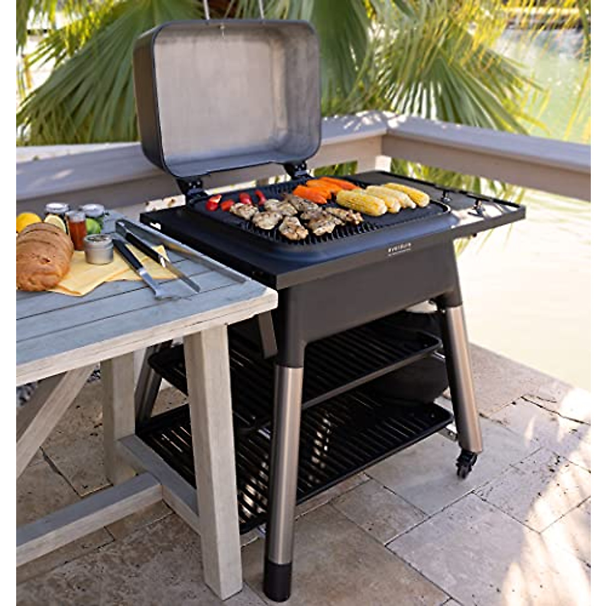 Everdure FORCE 2 Burner Gas Grill, Liquid Propane Portable BBQ Grill with Die-Cast Aluminum Body and Fast-Ignition Technology, 388 Square Inches of Grilling Surface, Adjustable Height, Orange