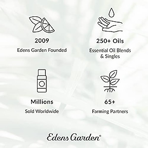 Edens Garden Top Synergy Blend Essential Oil 6 Set, Best 100% Pure Aromatherapy Starter Kit (for Diffuser & Therapeutic Use), 10 ml