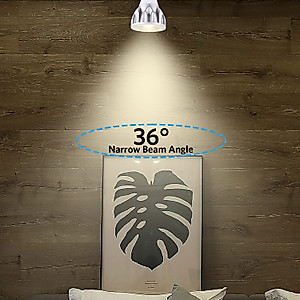 Familite PAR20 LED Bulbs, 12W Dimmable Spot Light, 100W Halogen Equivalent, 36° Narrow Beam Angle, 3000K Warm White, E26 Medium Base for 4’ Cans, Pack of 2 (Warm White)