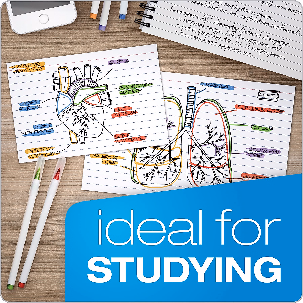 Oxford Index Cards, 500 Pack, 3x5 Index Cards, Ruled on Front, Blank on Back, White, 5 Packs of 100 Shrink Wrapped Cards (40176)