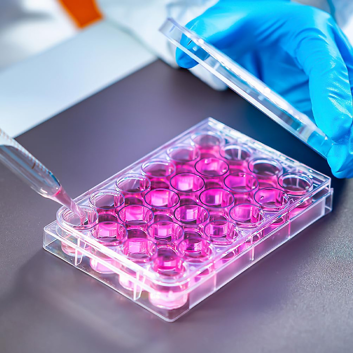 JECOMPRIS 2pcs 24 Well Cell Culture Plate Cultivation Plates Laboratory Reaction Tray for Laboratory