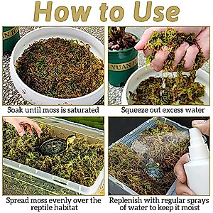 kathson Sphagnum Moss for Reptiles, 17.5 Oz Natural Dried Moss, Reptiles Peat Moss, Natural Sphagnum Moss, Frog Moss for Leopard, Long Fibered Dried Moss for Tortoise/Bearded Dragon/Snake/Lizard