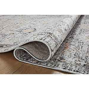 Loloi Monroe Sky/Gold 9'-3" x 13' Area Rug