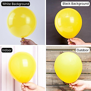PartyWoo Yellow Balloons 120 pcs Yellow Balloons Different Sizes Pack of 18 12 10 5 Inch Balloon Arch Kit Yellow Balloon Garland for Graduation Easter Birthday Yellow Party Decorations Yellow-Y55