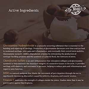 Dr. Maggie Joint Formula for Dogs and Cats with MSM, Glucosamine, and Chondroitin | 240 ml