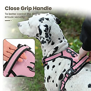 FURRYFECTION No Pull Vest Harness, Reflective with Leash No Choke Soft Padded, Adjustable Front Lead Dog Harnesses with Seat Belt for Small Medium Large Dogs, Pink, L