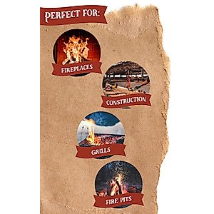 Pellethead Ash Vault Pro 5-Gallon 10-Amp Power Ash Vacuum with Hose Accessories and Heat-Resistant HEPA Filters