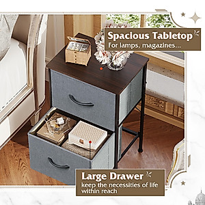 WLIVE Night Stand Set 2, Dresser and Nightstand Sets, Small Dresser for Bedroom with 2 Drawers, End Table with Fabric Bins for Closet, Bedside Furniture, College Dorm, Dark Grey
