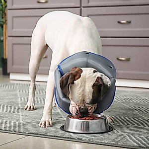 Dog Cone for Dogs After Surgery,Adjustable Protective Dog Recovery Collars & Cones for Large Medium Small Dogs Cats,Comfy Soft Dog Cones Prevent Pets from Touching Stitches Rashes,Wounds,Blue,L