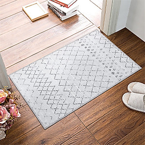 GLN Rugs Contemporary Collection - Machine Washable Modern Area Rug, Contemporary Washable Rug, Non Slip Area Rug, Abstract Living Room Rug, Bedroom Rug, Bathroom Rug (2'x3' Gray Rug)
