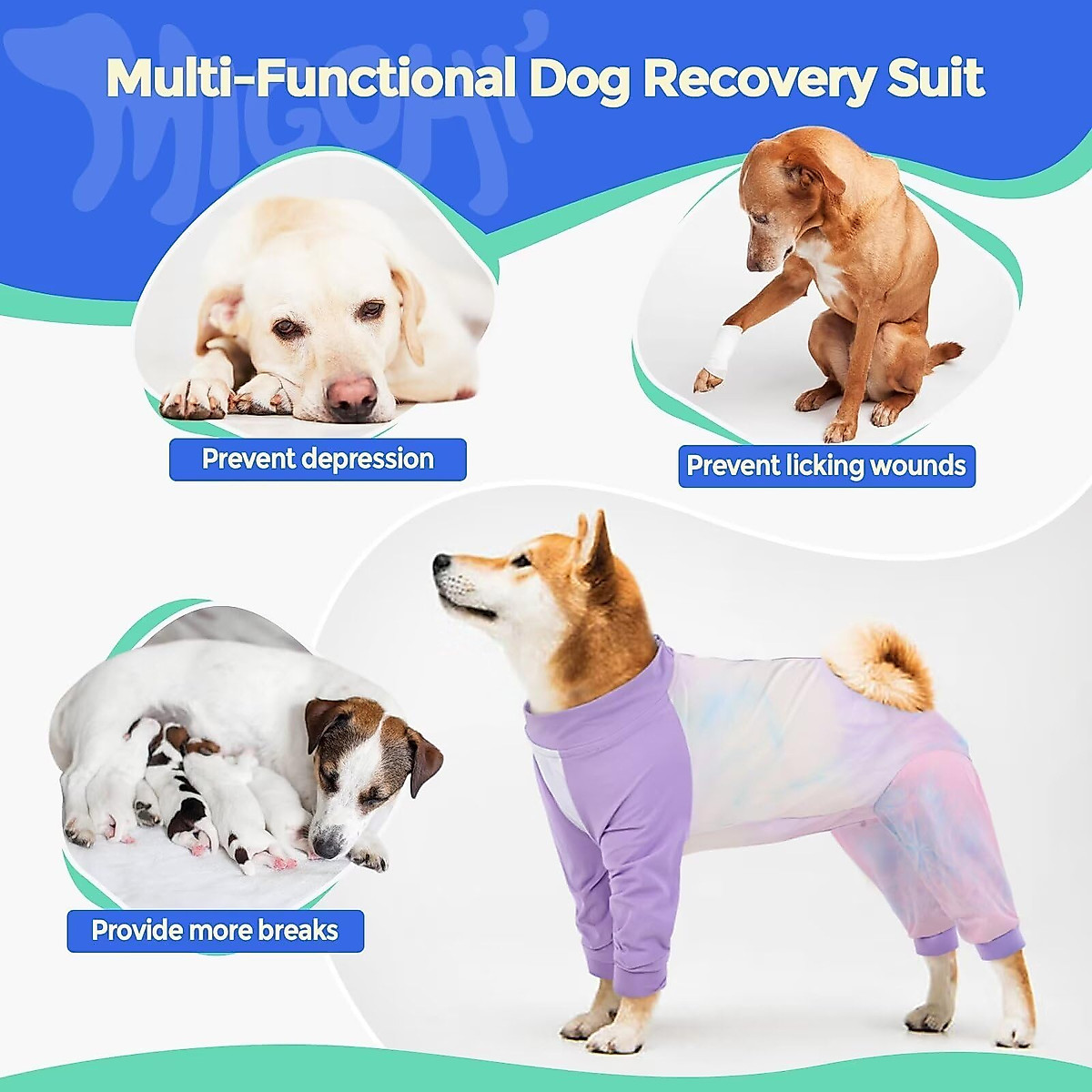MIGOHI Full Body Dog Recovery Suit,Breathable Recovery Suit for Female Male,Dog Onesie,Anti-Licking Dog Pajamas Suit,Dog Surgery Suit Female Spay,Surgical Recovery Suit for Medium Dogs,M,Purple