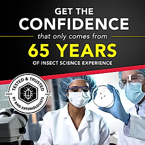 Raid Ant and Roach Killer, Lemon Scent, 17.5 OZ (Pack of 12)