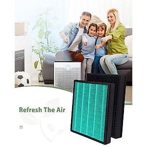 2-Pack Airmega 300 Filter Replacement for Coway 300/300S Air Purifiers, Replace Airmega Max2, 3111635