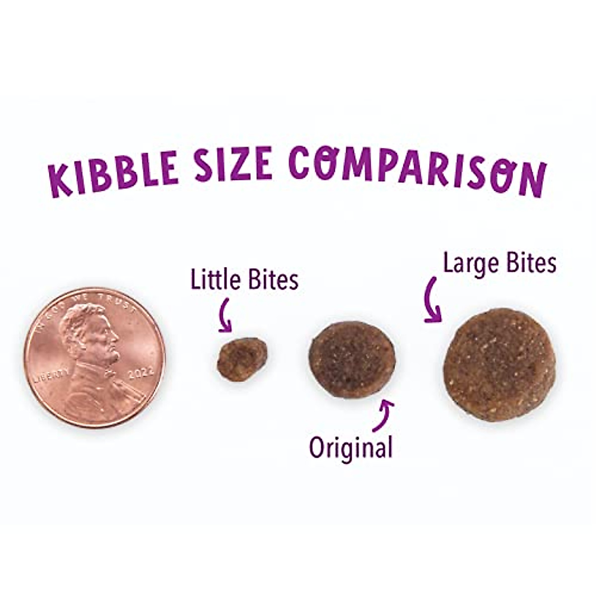 Health Extension Dry Dog Food, Natural with Added Vitamins & Minerals, 1 lb / 0.45 kg, Grain Free, Salmon & Sweet Potato Recipe with Vegetables & Berries for All Puppies