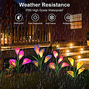 Arrozon Solar Garden Lights Outdoor Garden Decorative with 16 Calla Lily Flowers, Solar Flowers Lights Outdoor Garden Waterproof IP65 for Garden, Pathway, Patio, Yard, Porch, Backyard, 4 Pack