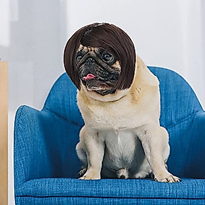 Cobee Funny Dog Cat Cosplay Wig, Pet Wig-Adjustable Costume Pet Funny Headwear Costumes Headgear for Small Medium Large Dog Cat Wigs Dress Up Decorations for Halloween, Christmas, Parties, Festivals