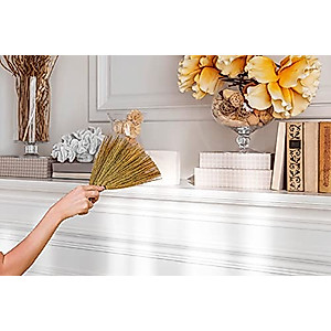 SN SKENNOVA - 11 inch Tall of Handmade Turkey Wing Whisk Broom Handcrafted Daily Wisk Broom for Office, Home, Workshop (11 inch Tall)