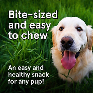 Real Meat Dog Treats - 12oz Bag of Bite-Sized Air-Dried Venison & Chicken Jerky for Dogs - Grain-Free Jerky Dog Treats Made up of 95% Human-Grade, Free-Range Venison & Chicken - All-Natural Dog Treats