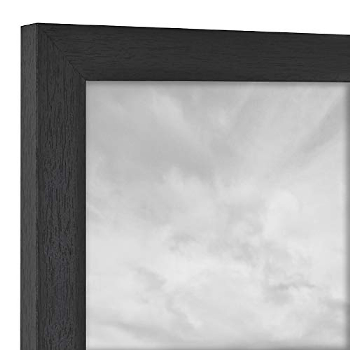 MCS Studio Document Frame, Gallery Wall Frame Fits 8.5 x 11 Diplomas, Documents & Certificates, Black Woodgrain, Single