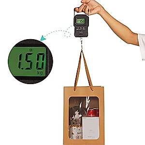 Edinstry Clear Gift Bags with Handles Medium Size Set with Transparent Window,Popcorn Paper Bags Wedding Bridal Baby Shower Birthday Party Valentine Anniversary Bags