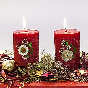 Nuanchu 81 Pcs White Dried Flowers Dried Pressed Flowers Leaves Natural Pressed Flowers White Pressed Flowers Larkspur Gypsophila for Resin Jewelry Scrapbooking Art Floral Decorations (White)