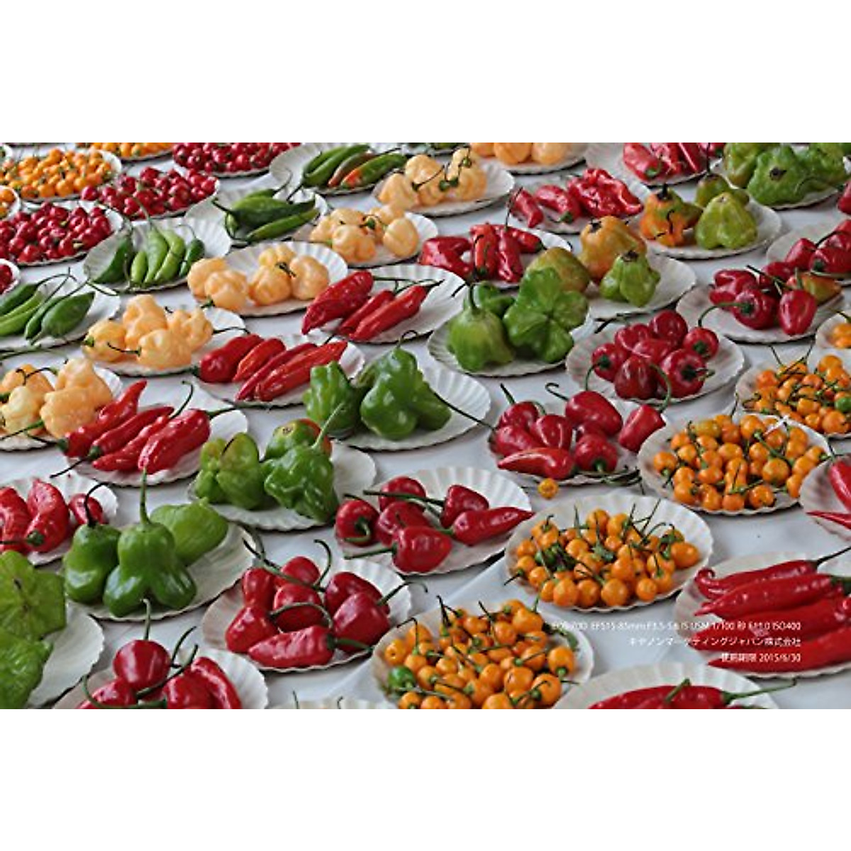 Canon EOS 70D Digital SLR Camera with 18-135mm STM Lens - International Version