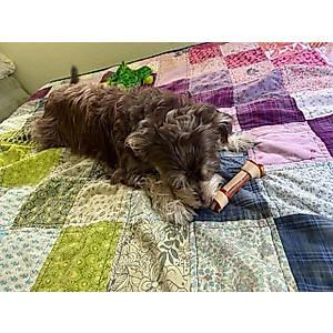 DOGCHEWZ™ Rawhide Free Knotted Bone Dog Chew Treats for Small & Medium Dogs - Size 5 inches (5 Count/Bag) - Chicken Flavored - Gluten Free