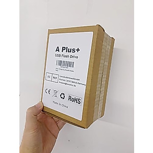 A Plus+ 10 Pack USB 3.0 Flash Drives 64GB Bamboo Leaf USB 3.0 Memory Stick Birthday Gifts