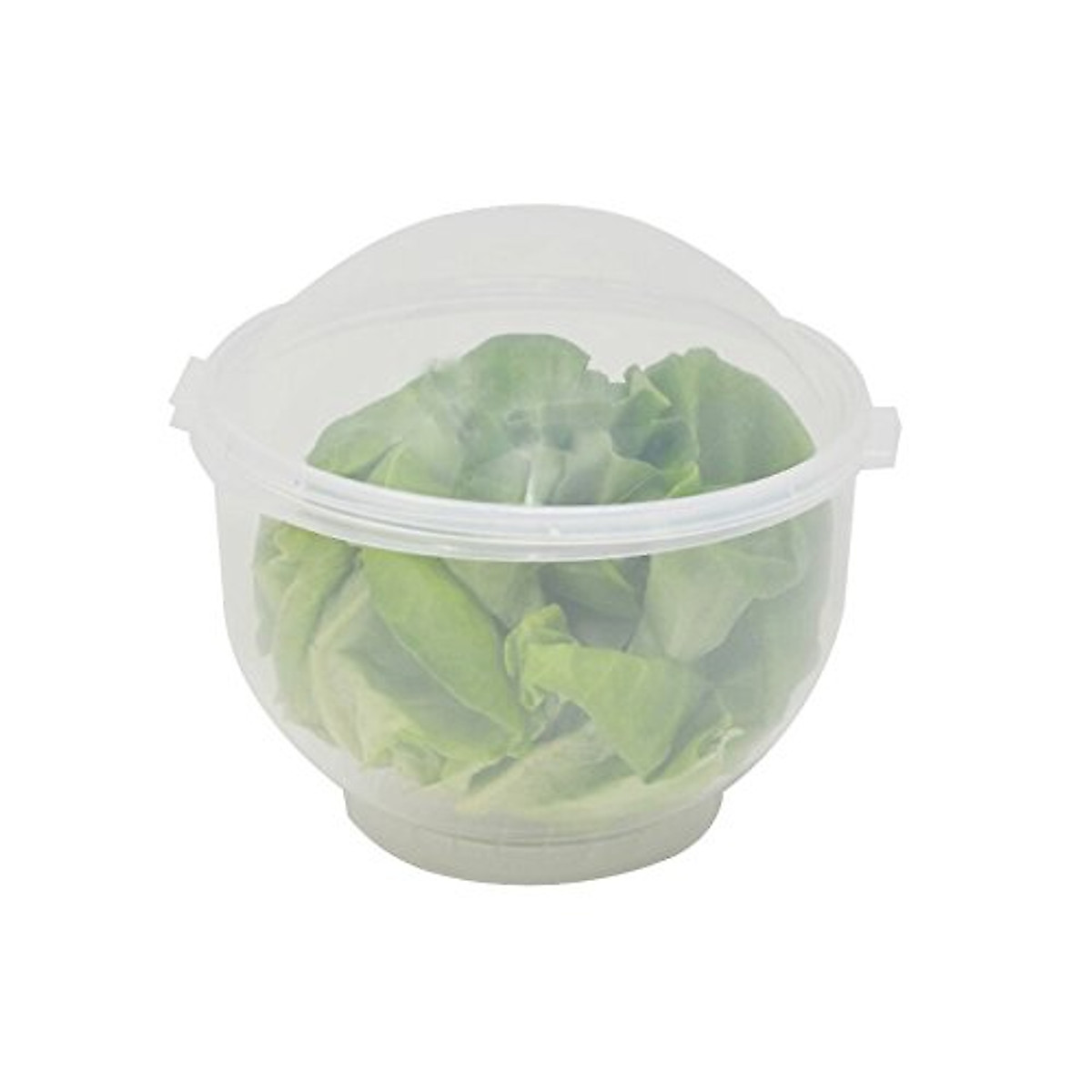 Lettuce Keeper | Vegetable and Fruit Crisper | Lettuce Crisper Salad Keeper Container Keeps your Salads and Vegetables Crisp and Fresh-7" X 8"- by Home-X
